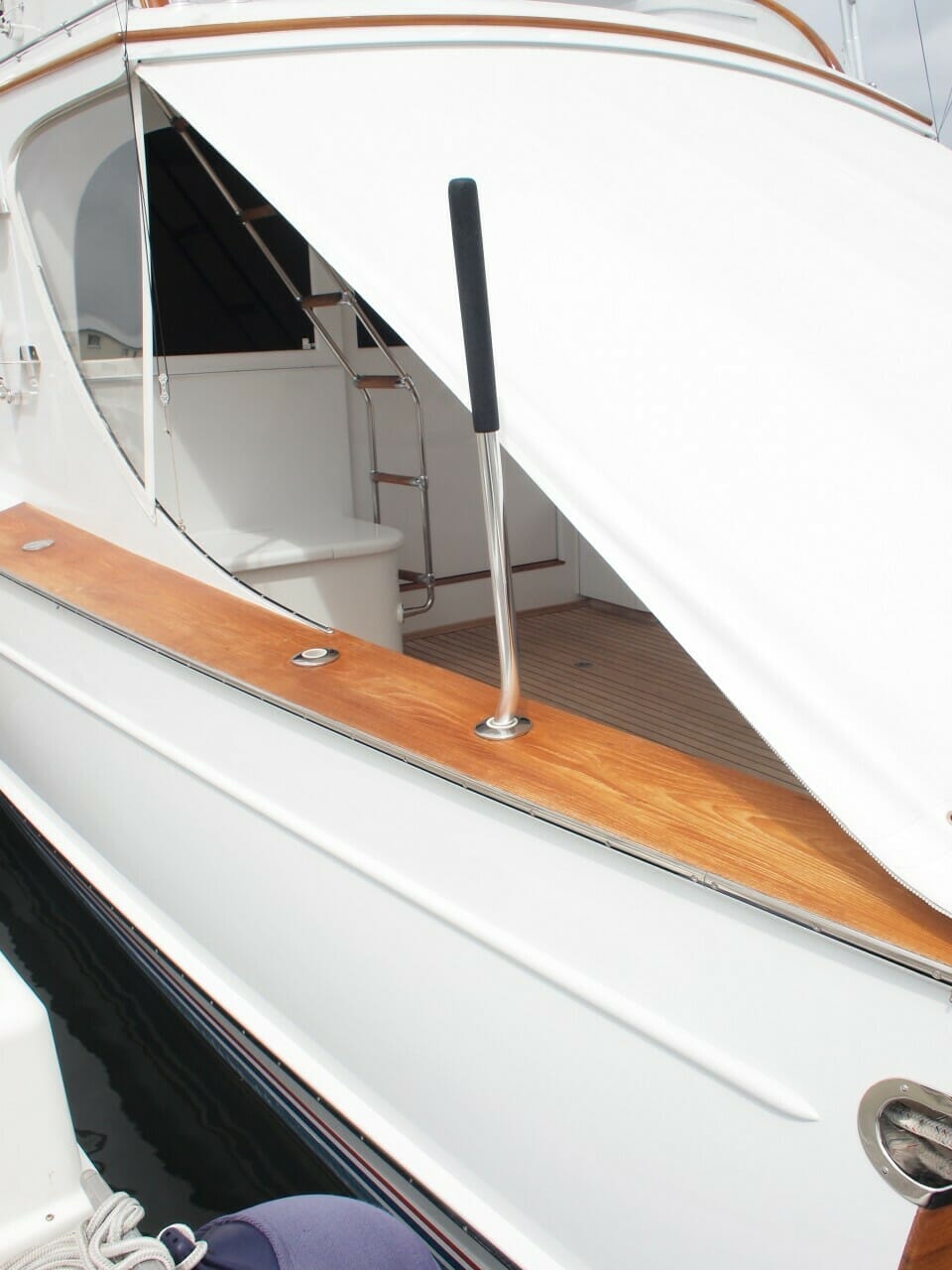 Come Aboard Safety grab handle for rod holder - Boarding Handle